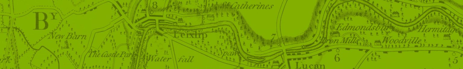 A Brief History of Leixlip – Kildare Local History . ie